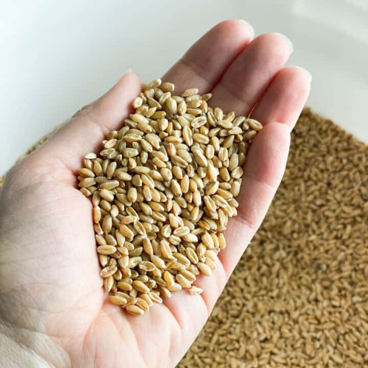Recipe Index - Whole Wheat Kitchen