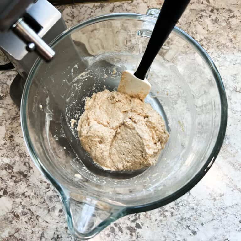 Basic Homemade Whole Wheat Bread Recipe