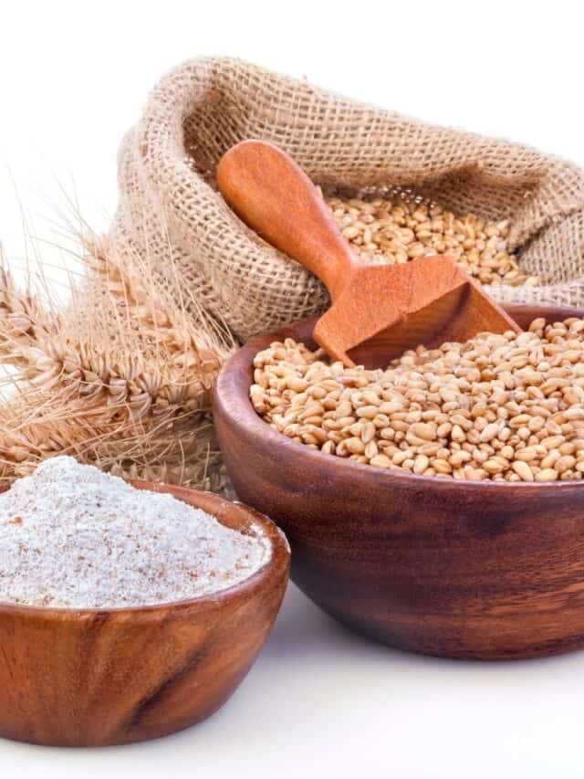 Whole Wheat Flour Buying Guide (where to buy whole wheat flour)